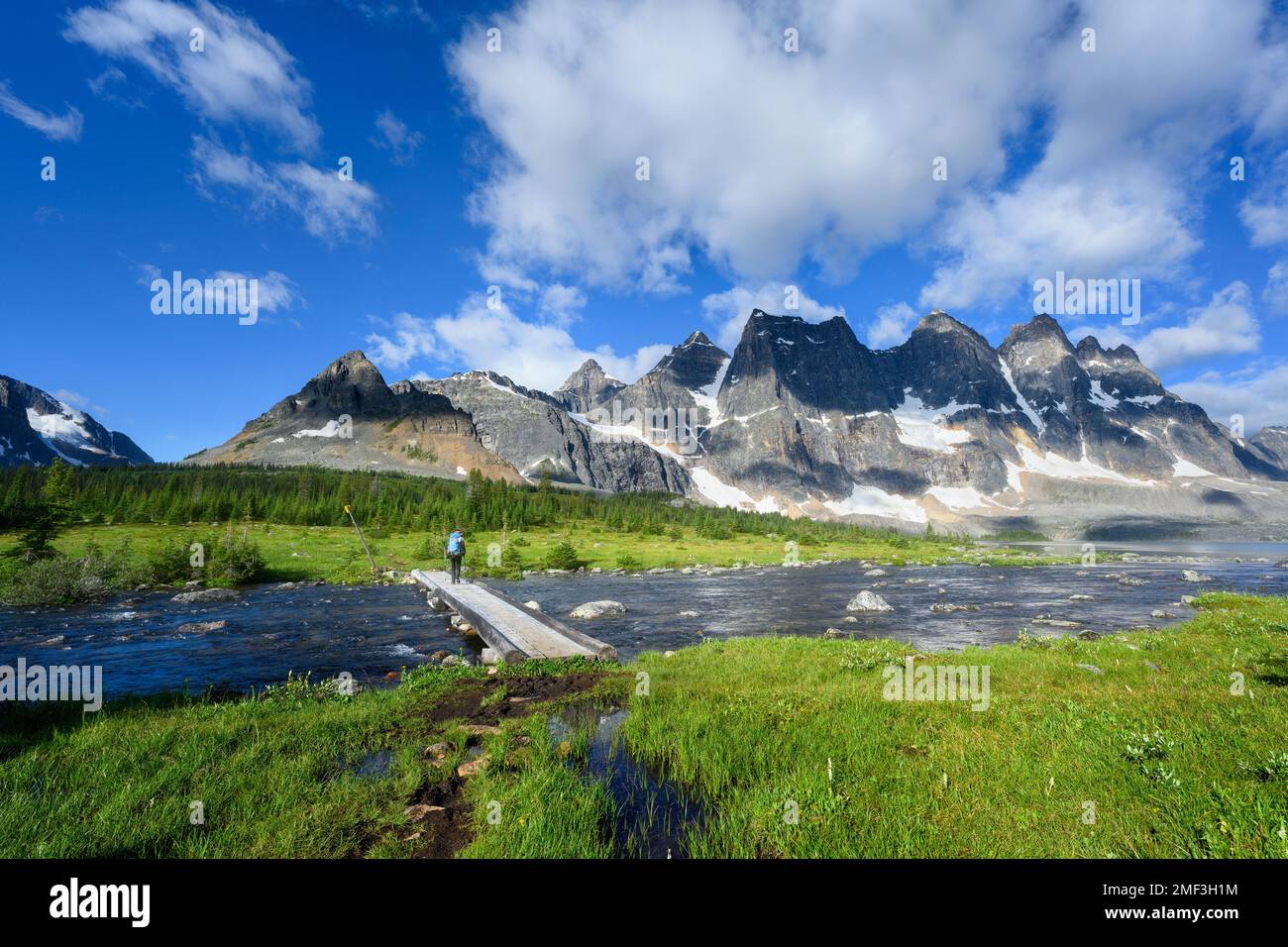 Summer of Tonquin Valley Stock Photo - Alamy