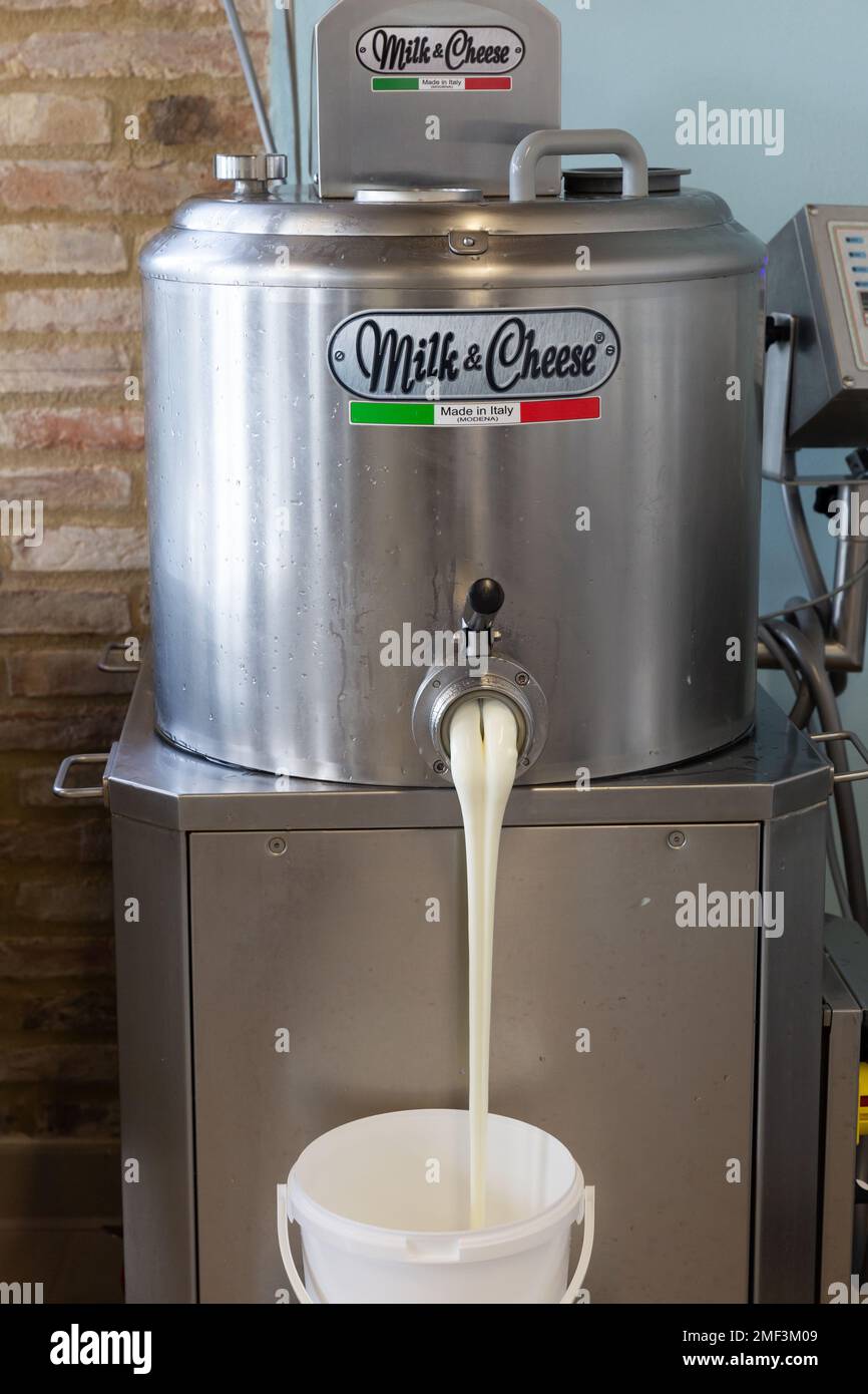 Fresh goat yogurt pouring out of vat at cheese farm in Tuscany, Italy ...