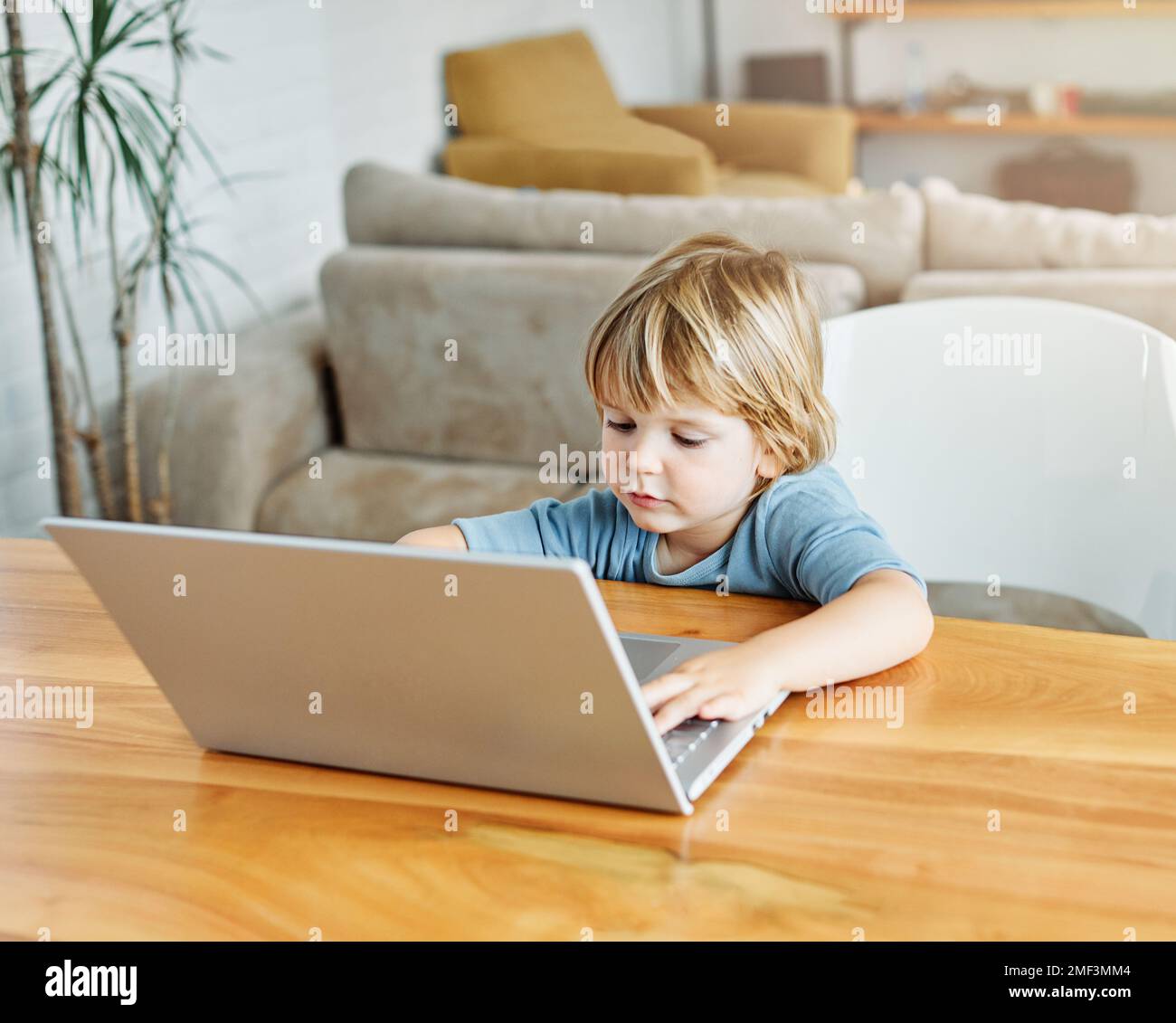 child laptop computer technology home boy son man education homework ...