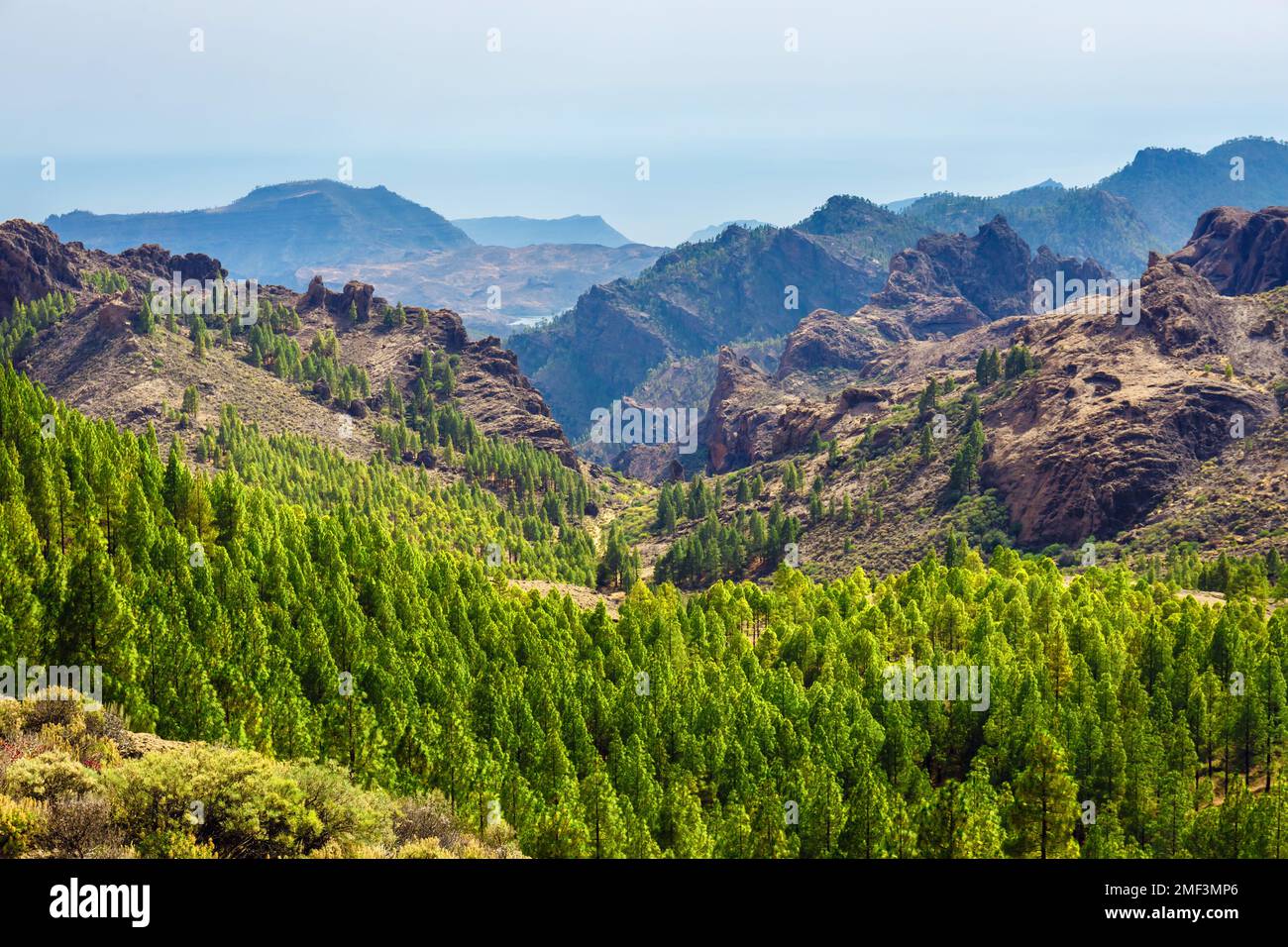 beautiful landscape of the volcanic island of gran canaria Stock Photo ...