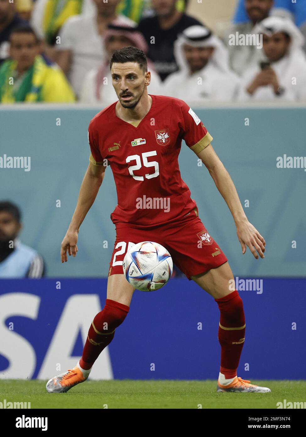 LUSAIL CITY - Filip Mladenovic of Serbia during the FIFA World Cup ...