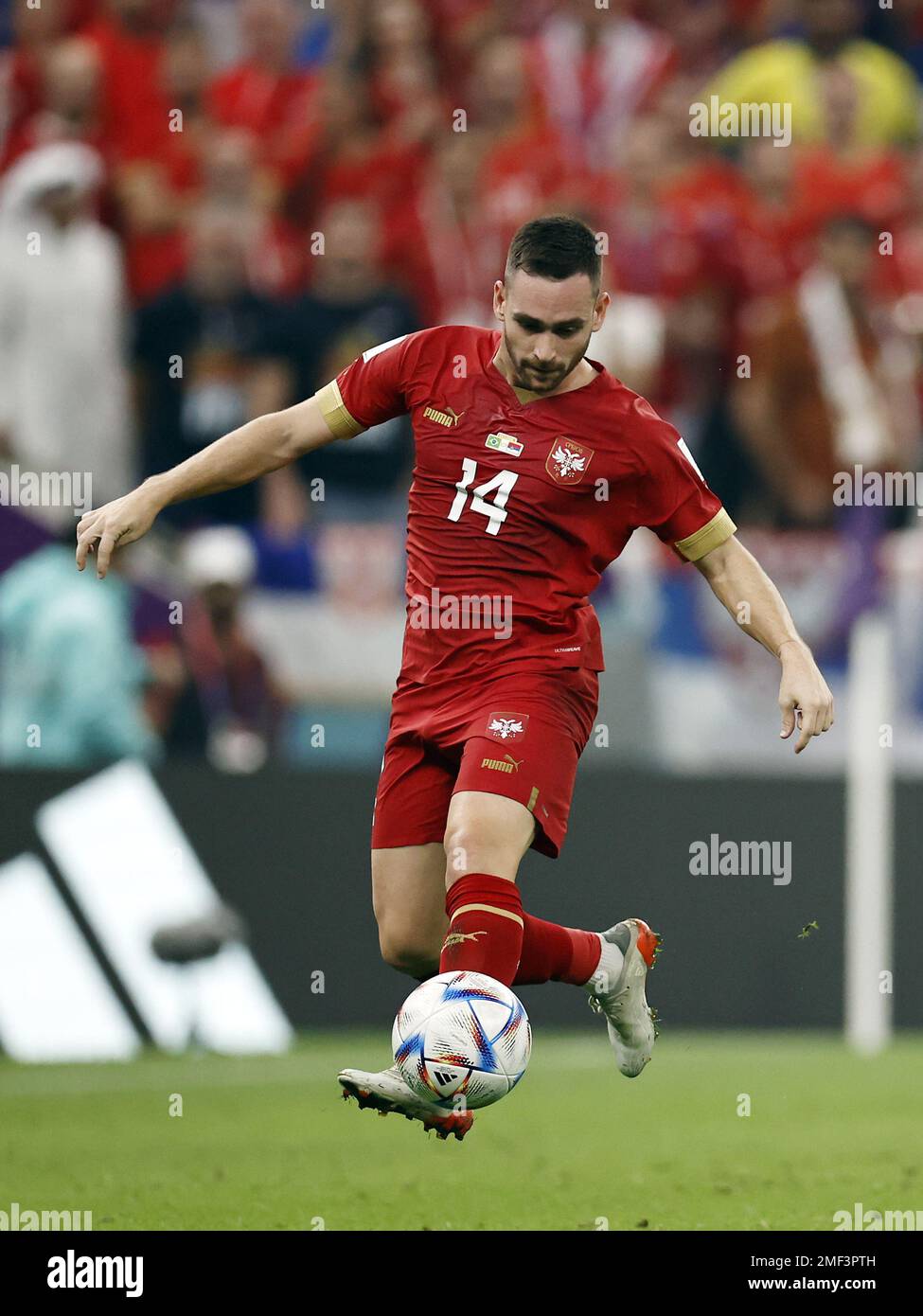 LUSAIL CITY - Andrija Zivkovic of Serbia during the FIFA World Cup ...