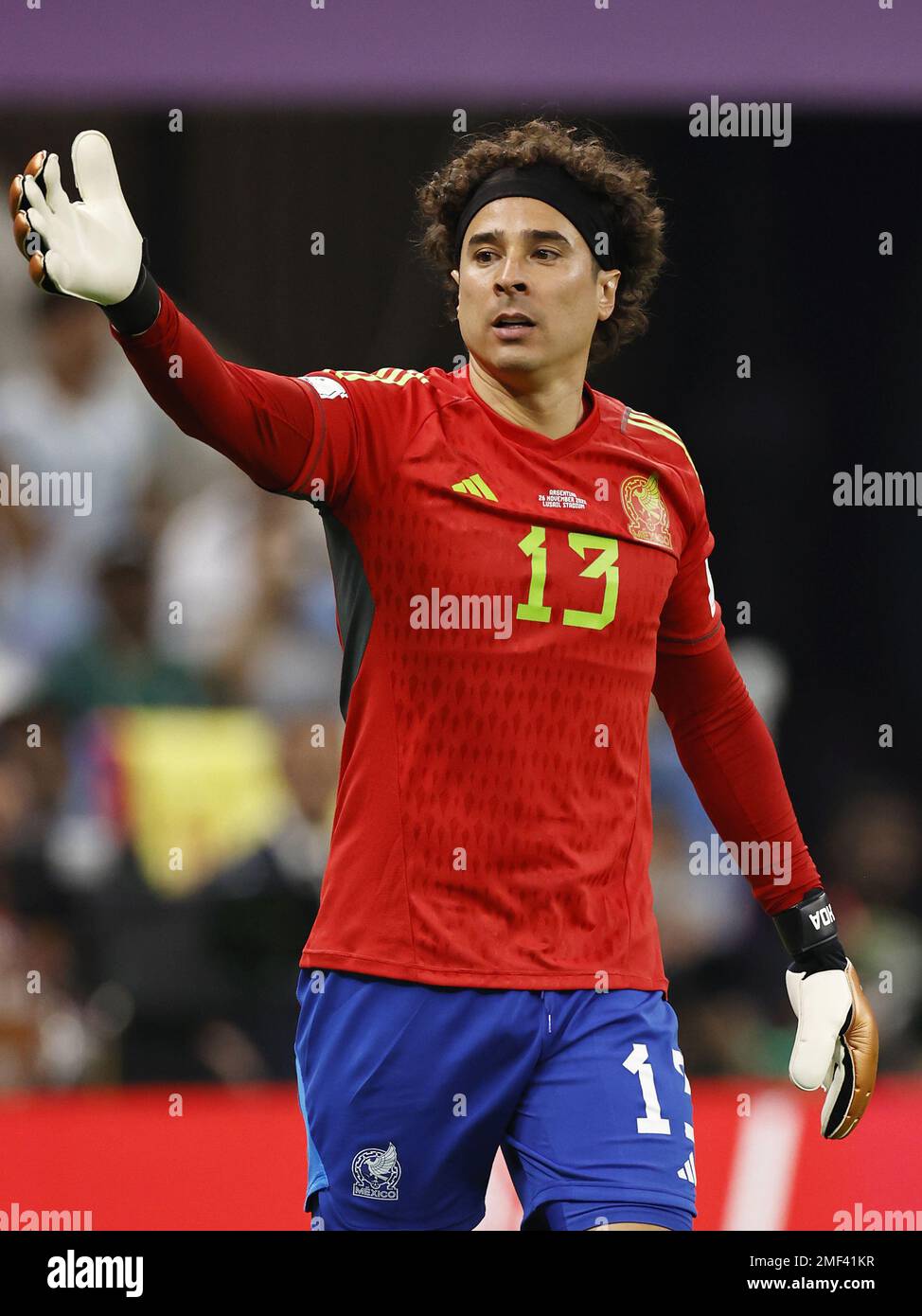Ochoa 2022 World Cup