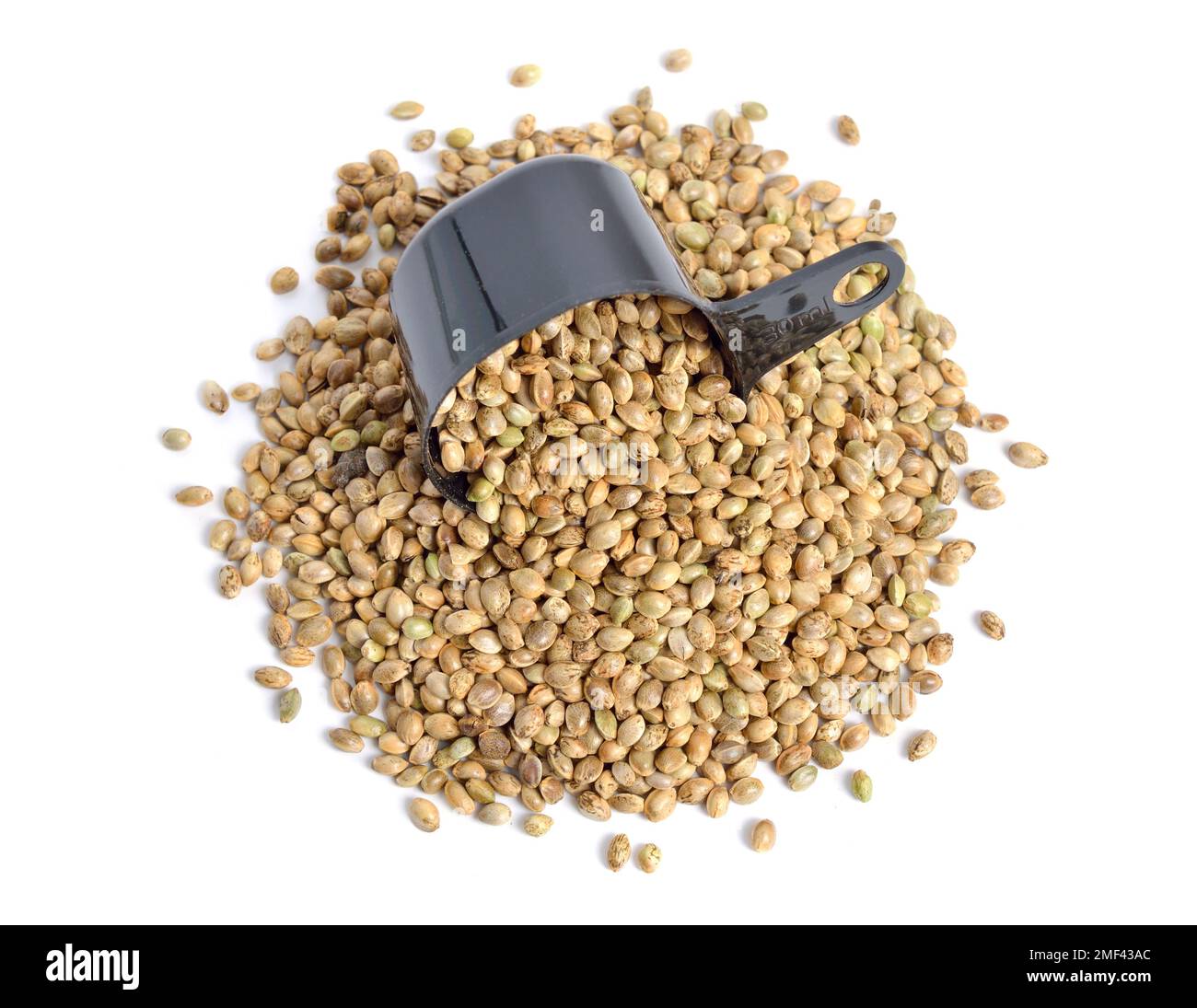 Heap of hemp seeds isolated on white background Stock Photo - Alamy