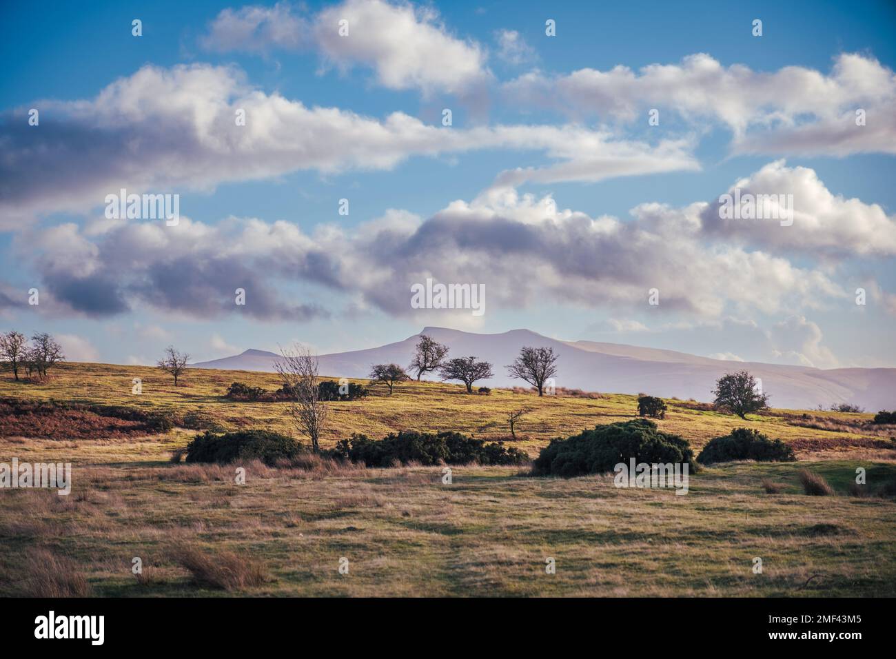 Welsh hills brecon beacons hi-res stock photography and images - Alamy