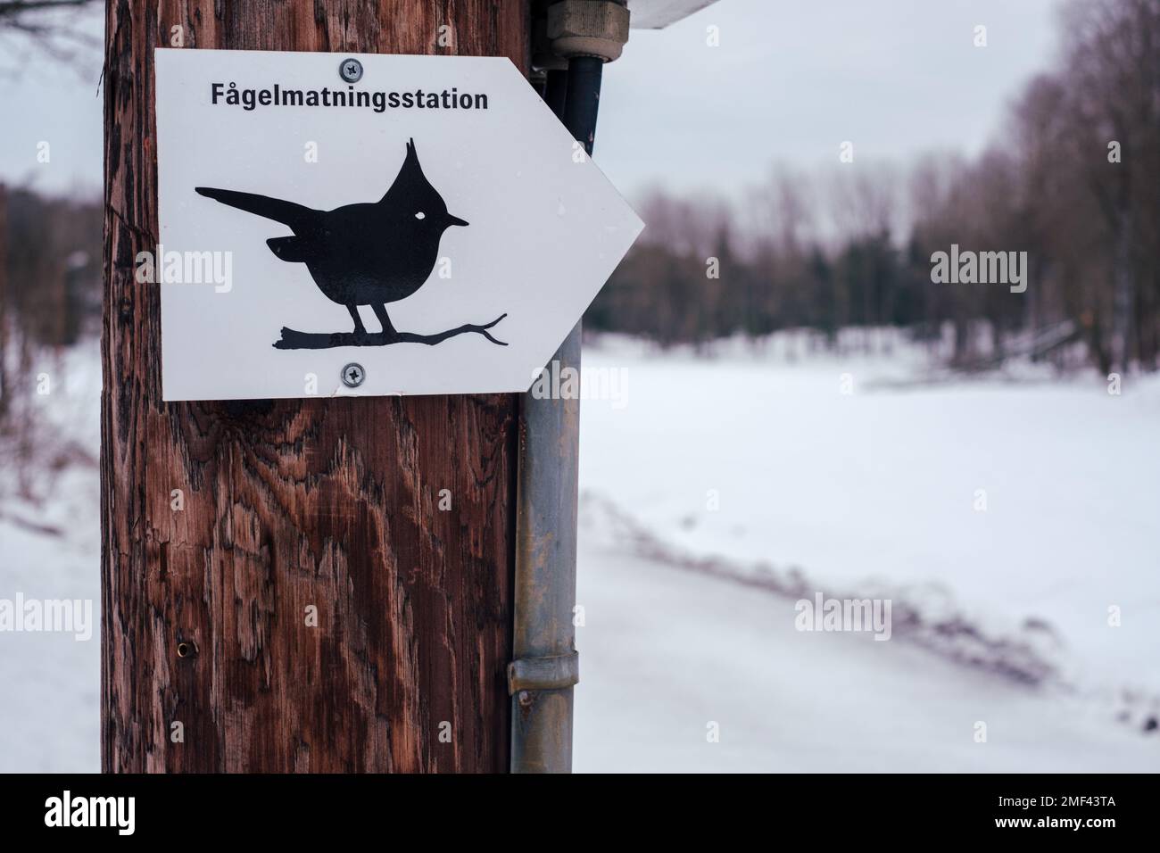 Birdwatching hide sign in Stockholm, Sweden Stock Photo - Alamy