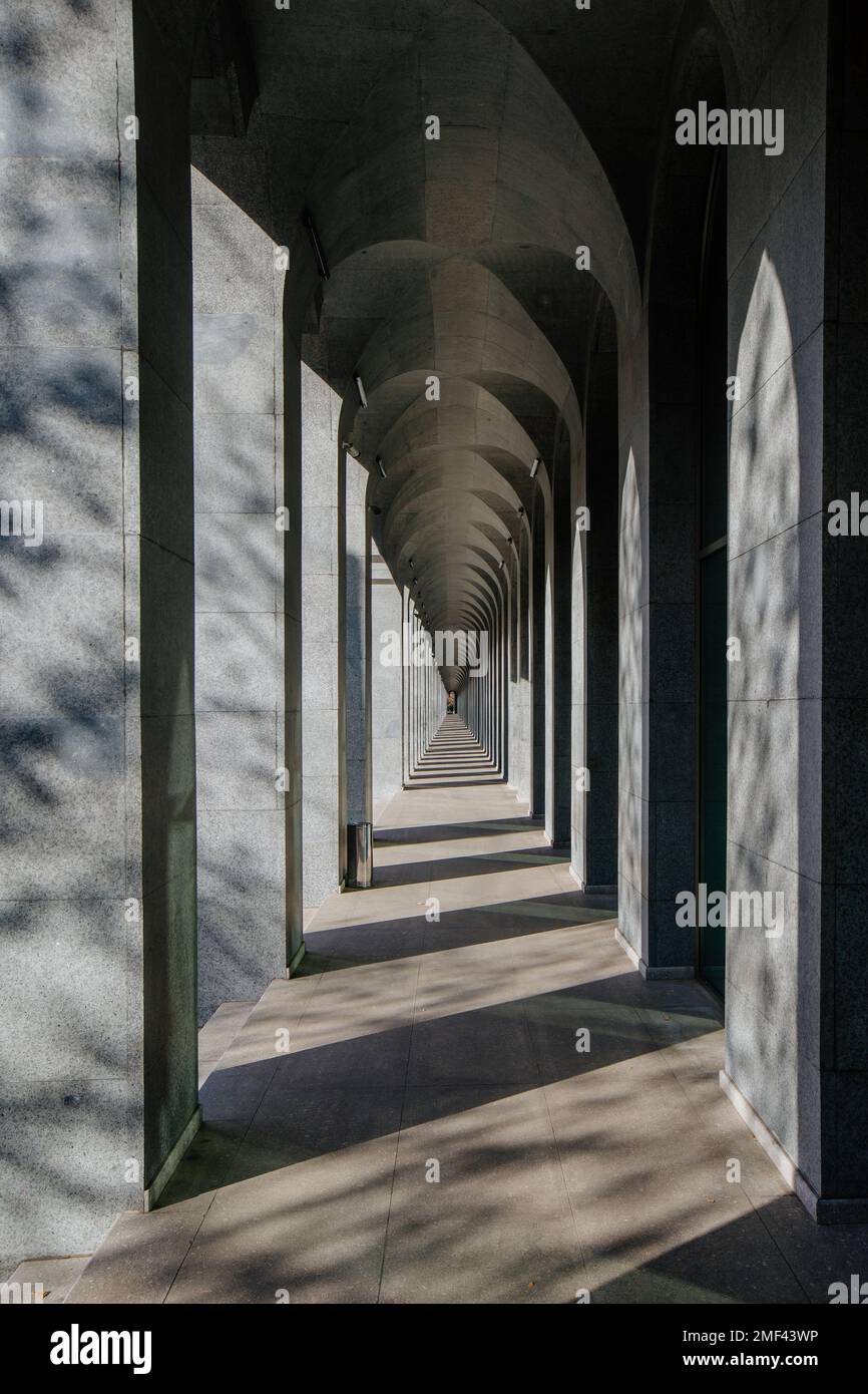 Long abstract unlimited corridor with rows of columns in sunlight Stock ...