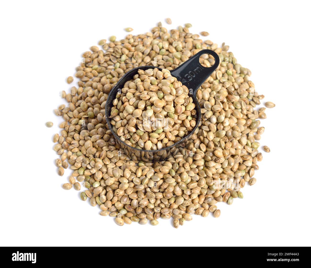 Heap of hemp seeds isolated on white background Stock Photo - Alamy