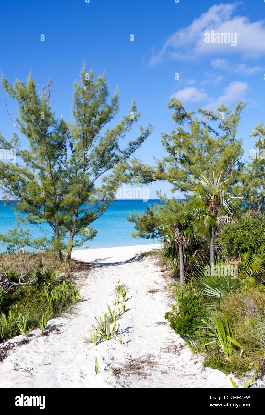 The sandy entrance to an empty beach on uninhabited Half Moon Cay ...