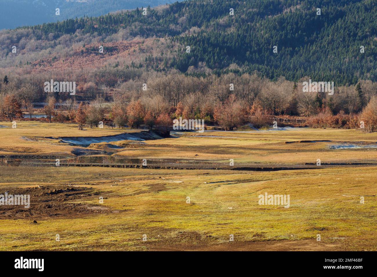 A drone shot of a field near a forest covered with autumn leaves Stock ...