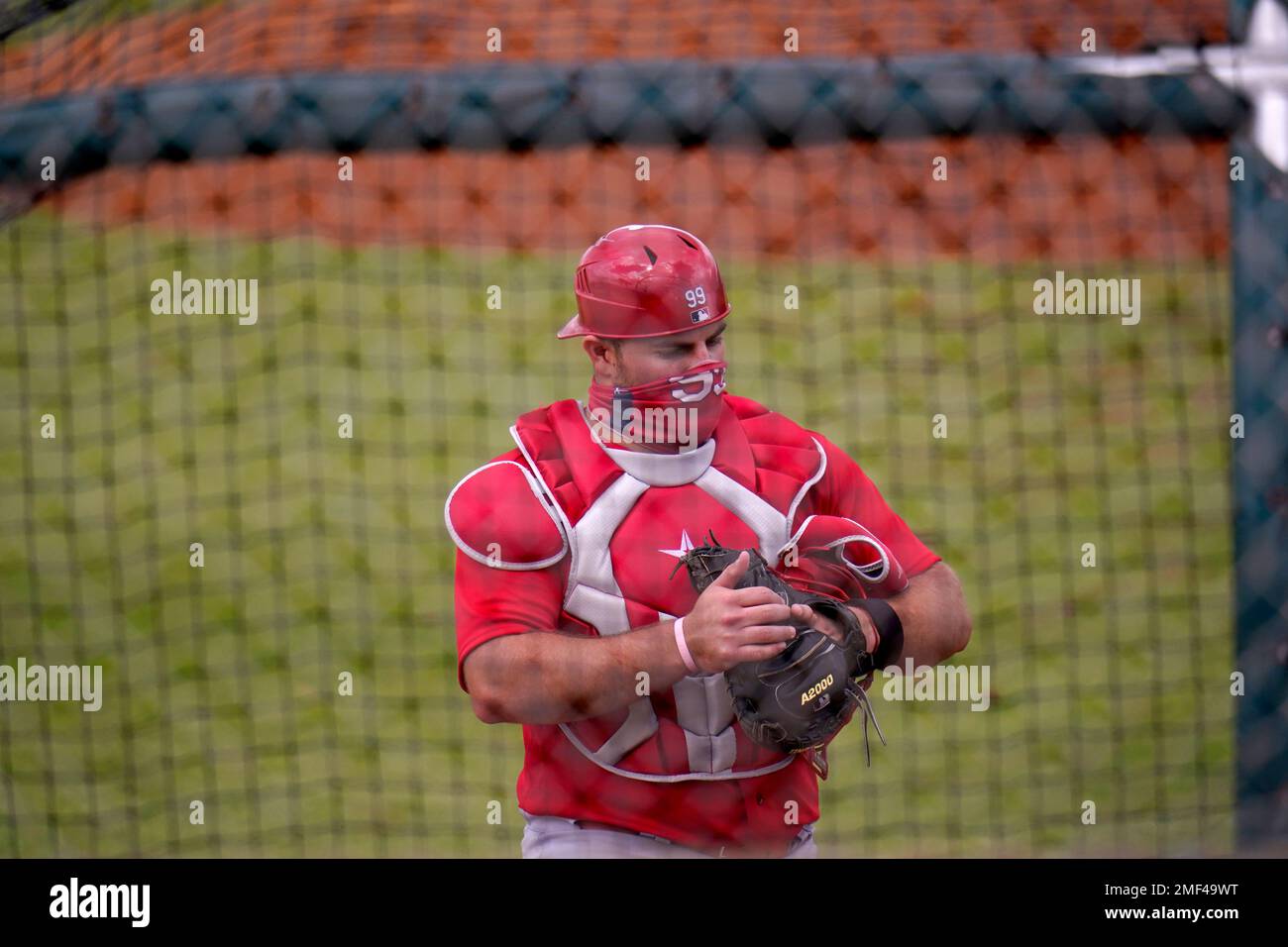 St. Louis Cardinals catcher Pedro Pages takes up his position during ...