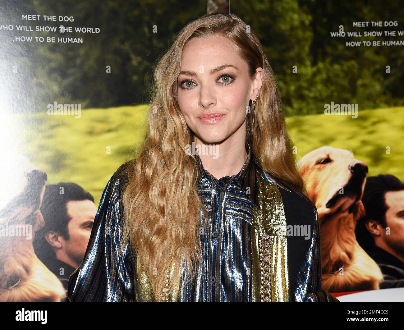 FILE - Actress Amanda Seyfried attends a special screening of "The Art ...