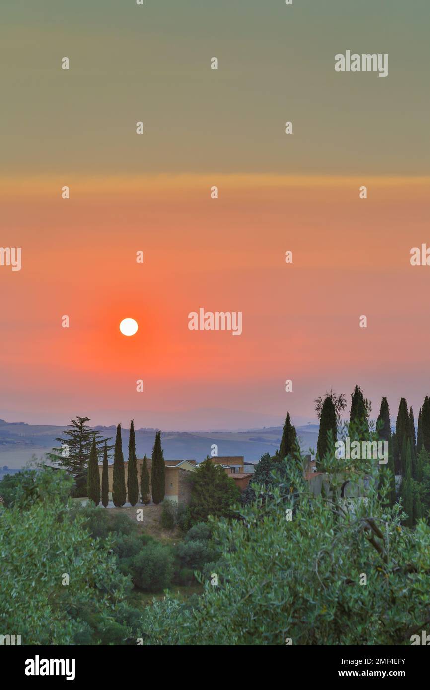 Summer cypress trees hi-res stock photography and images - Alamy