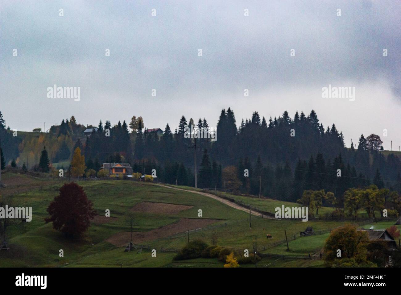 Nice landscape with rural meadow in Carpathian mountains, Ukraine Stock ...