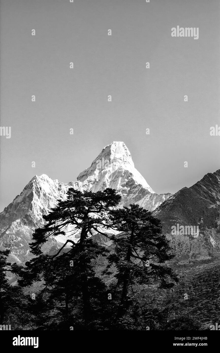 A vertical grayscale of snow-capped mountain peaks on the background of ...