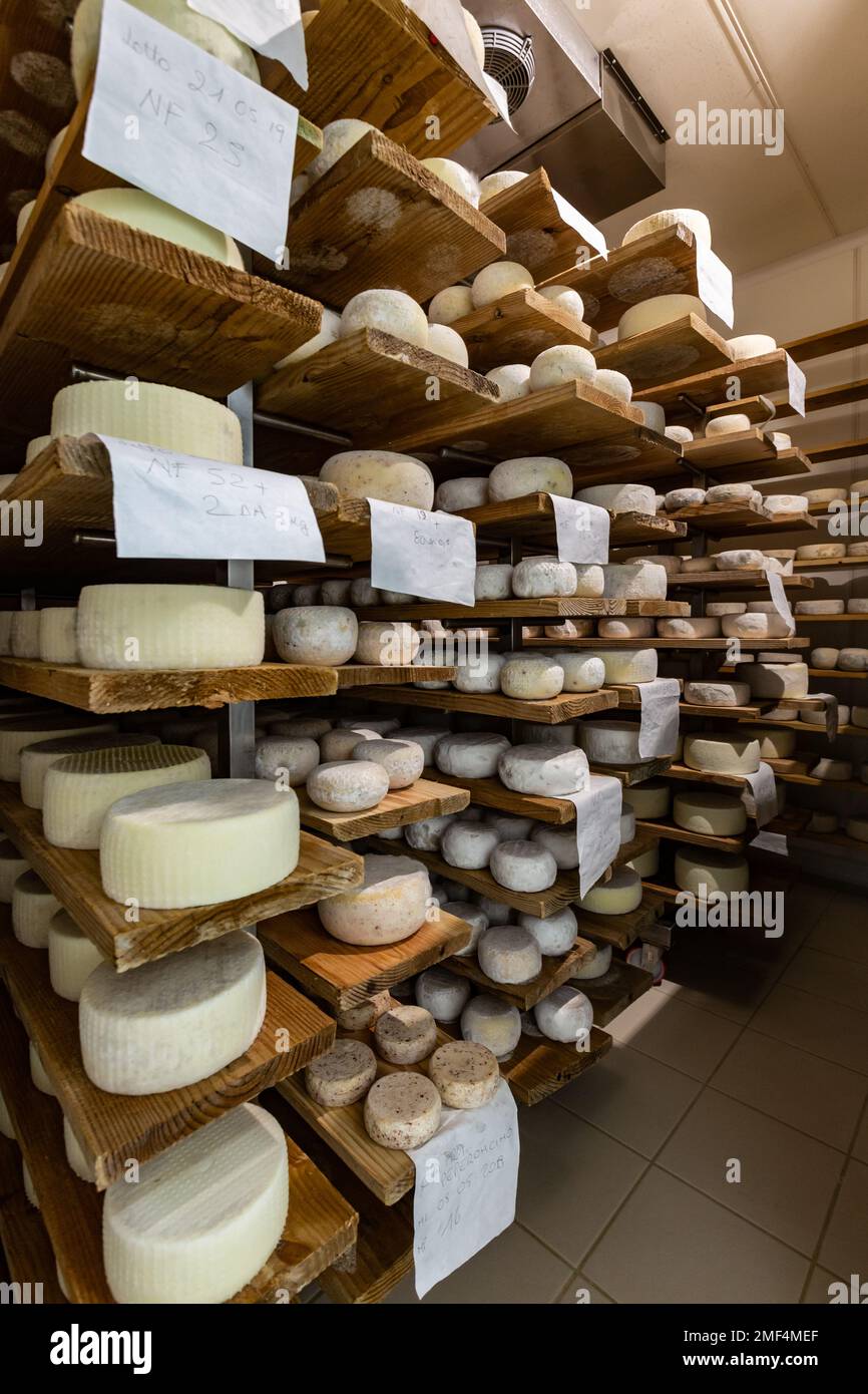 Cheese room hi-res stock photography and images - Alamy