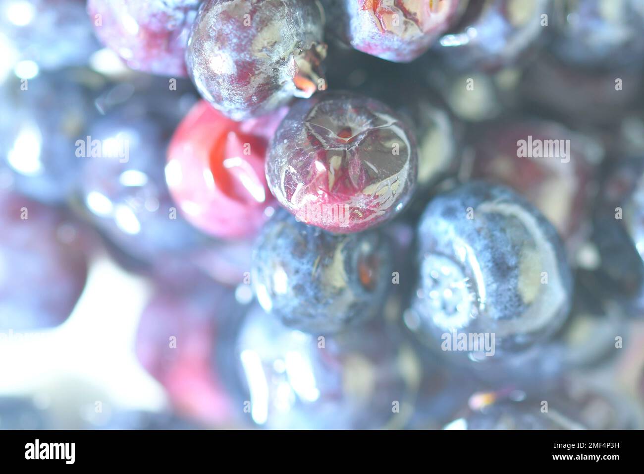 Blueberries, background of berries, top view. Defocused blueberry ...