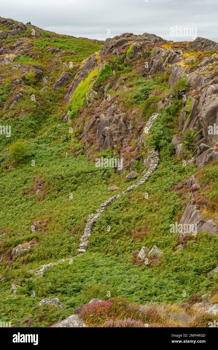 Dry stone wall on the side of Moel-y-Gest above Porthmadog Stock Photo ...