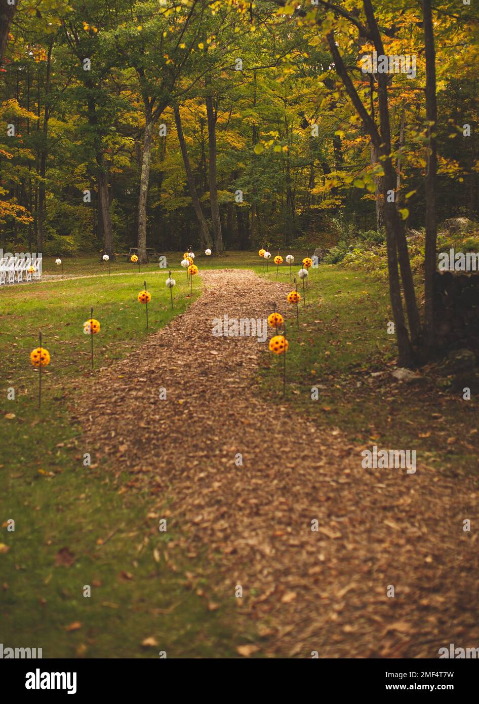 A vertical shot of a pathway in a park covered with dry leaves Stock ...