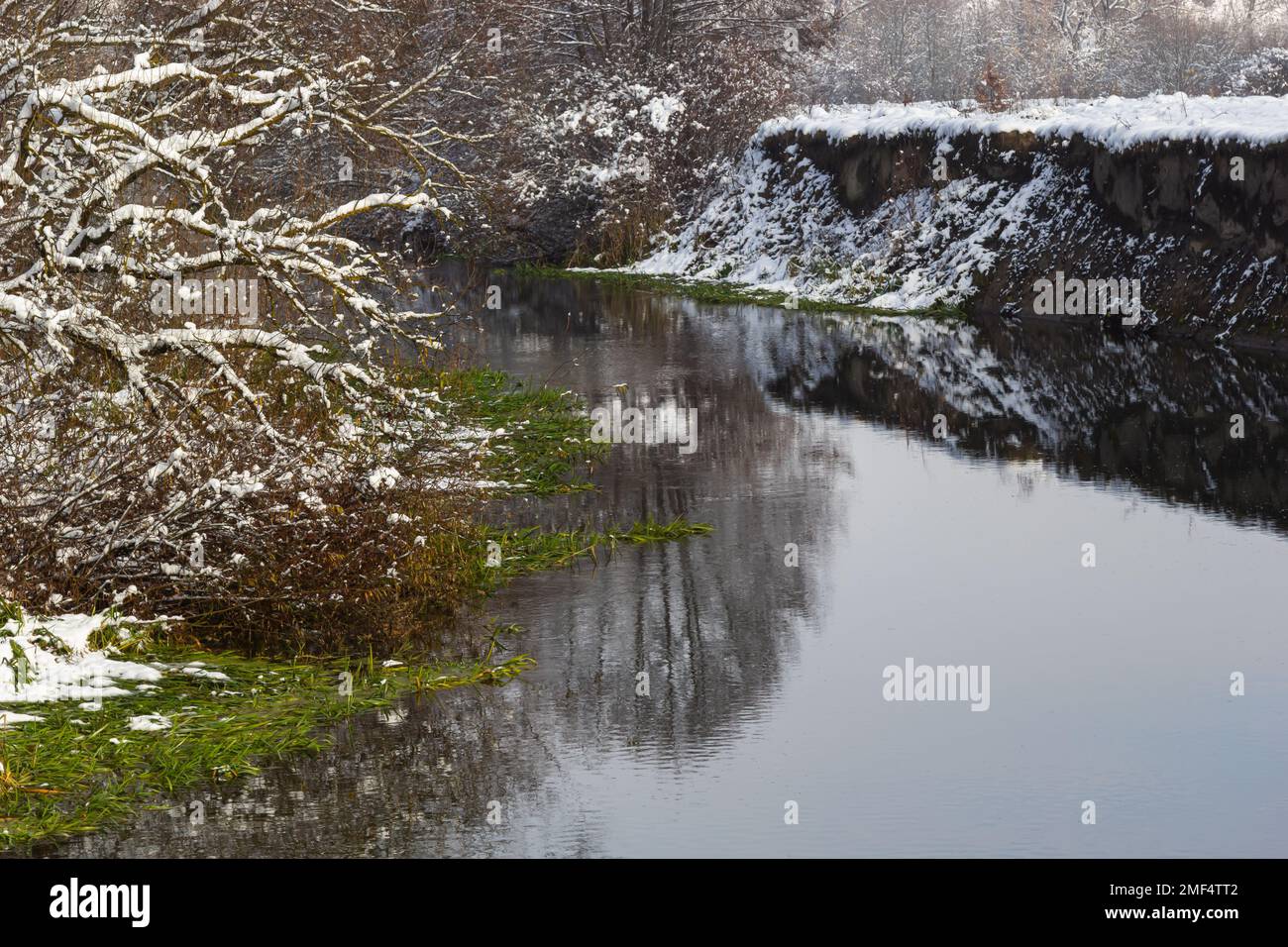 The river flows through the forest. In late fall in the forest the ...