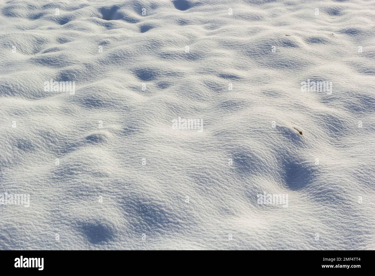 Photography of beautiful pure white snow texture. Winter background ...