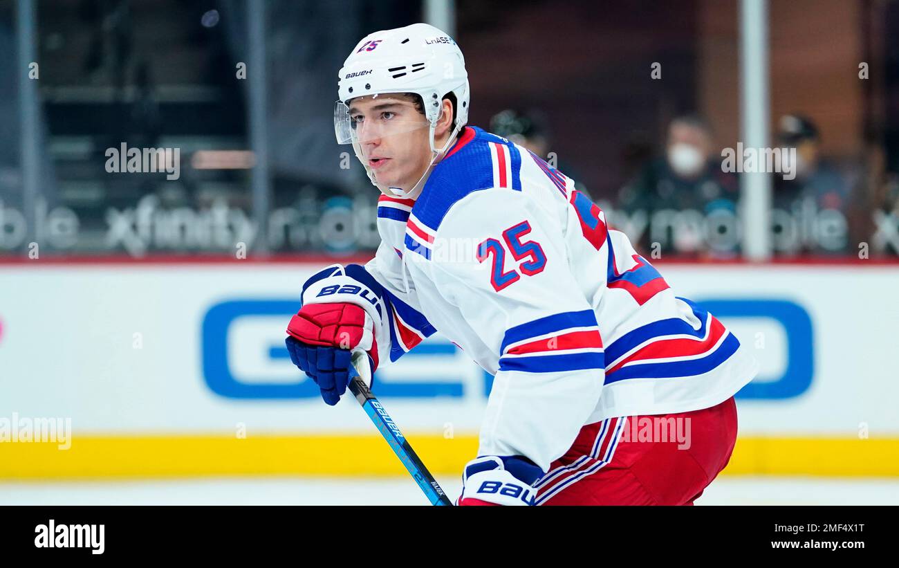 New York Rangers' Libor Hajek plays during an NHL hockey game against ...