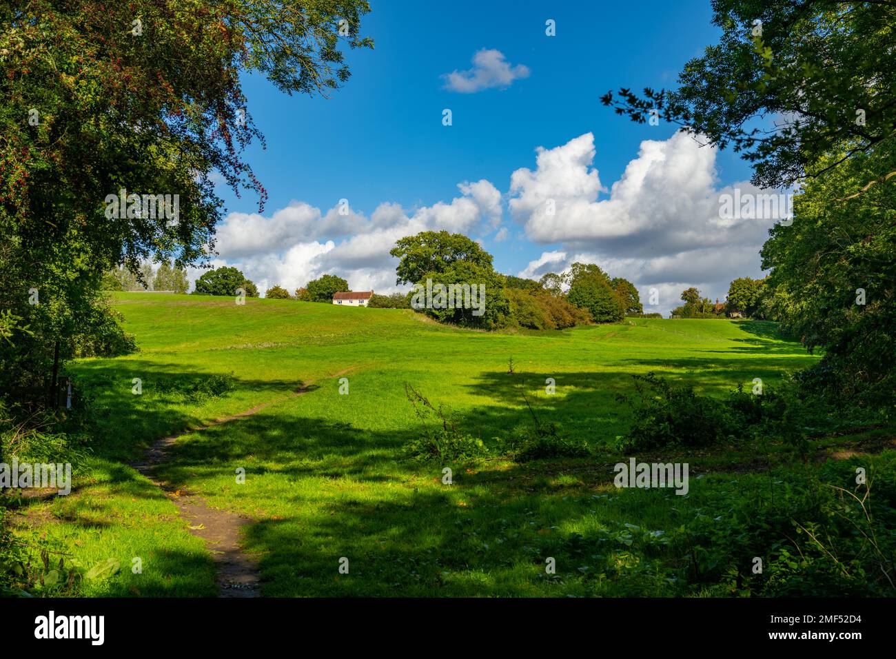 Essex summer fields hi-res stock photography and images - Alamy