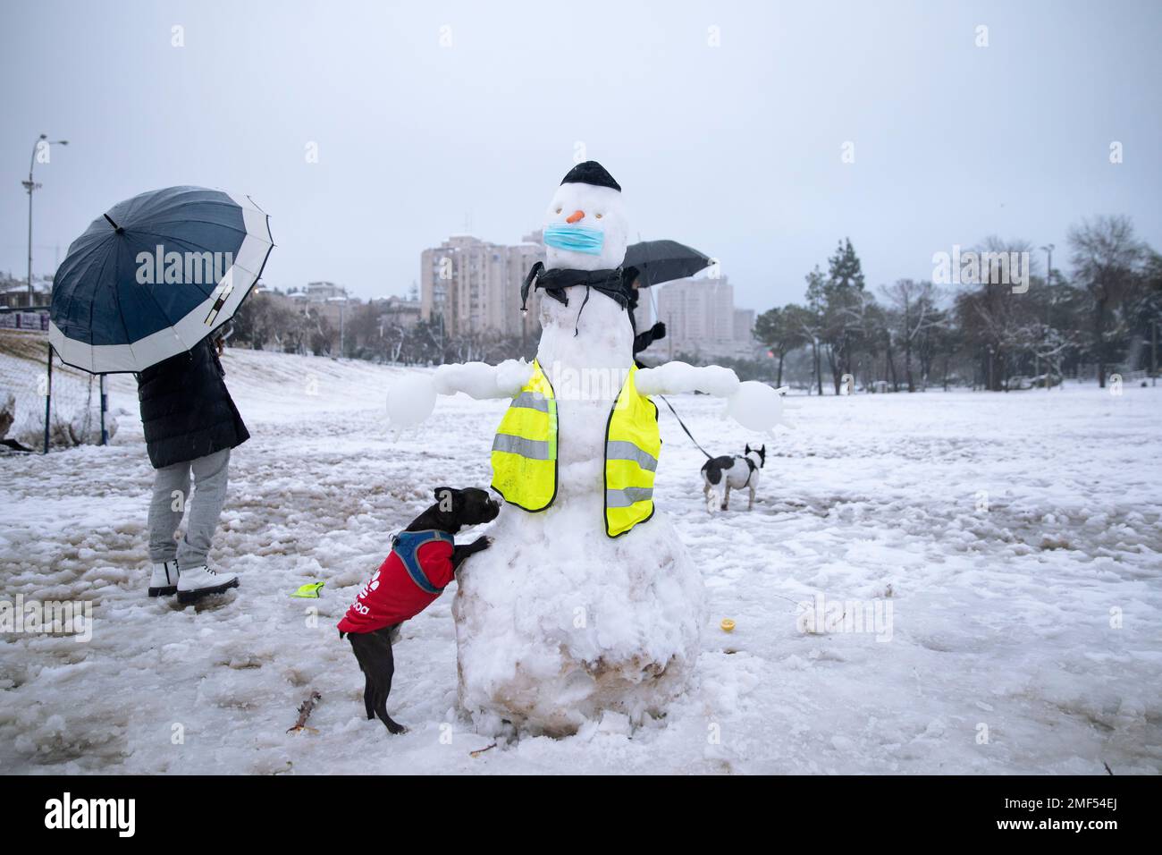 People walk their dogs next to a snowman decorated with a face mask in ...