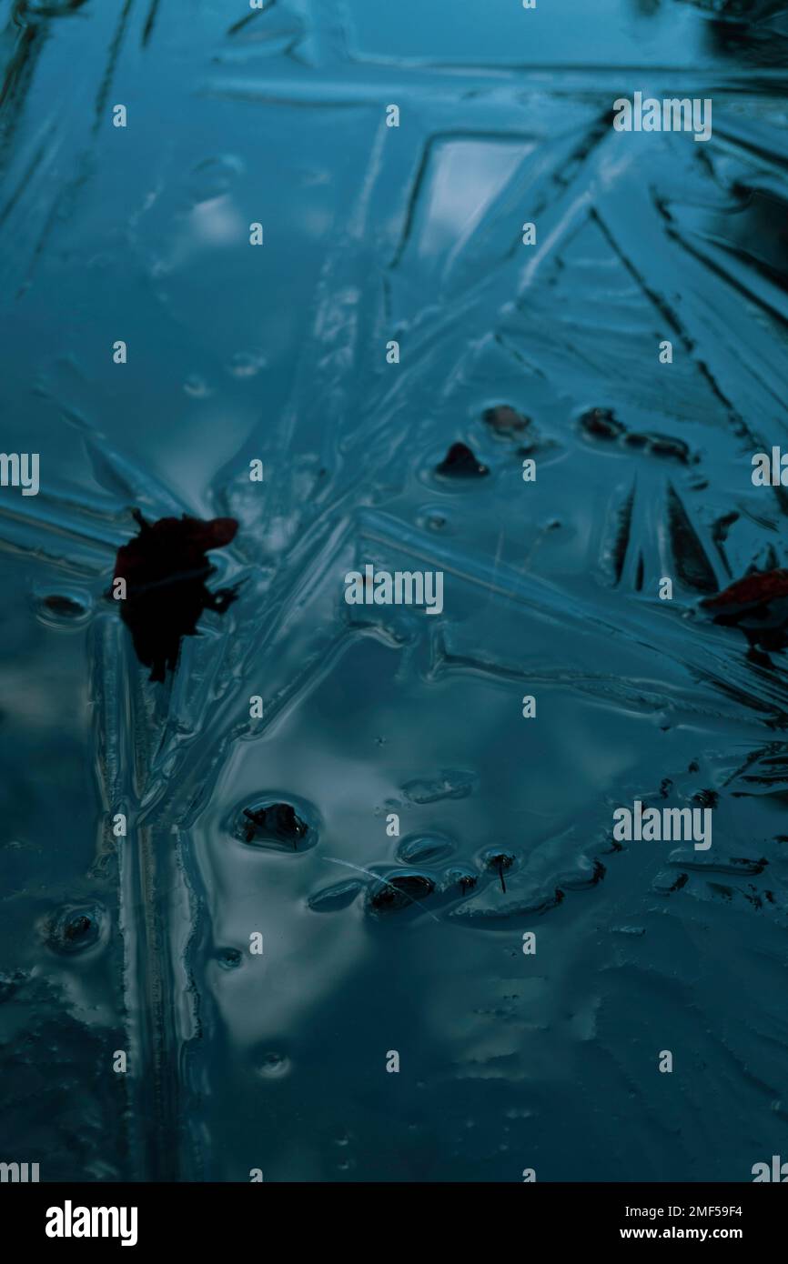 Cold sunny forest Stock Photo - Alamy