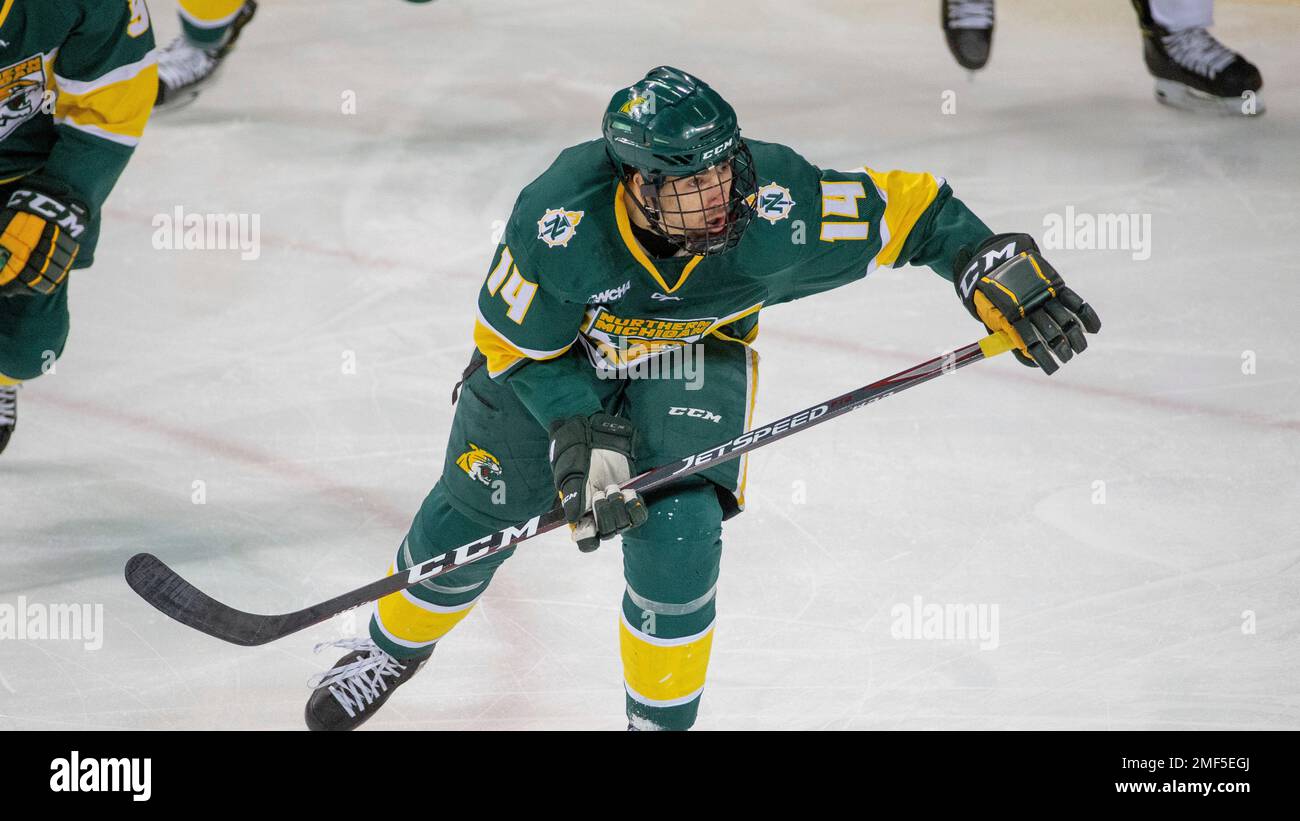 Northern Michigan forward Vincent de Mey (14) skates against Bemidji ...