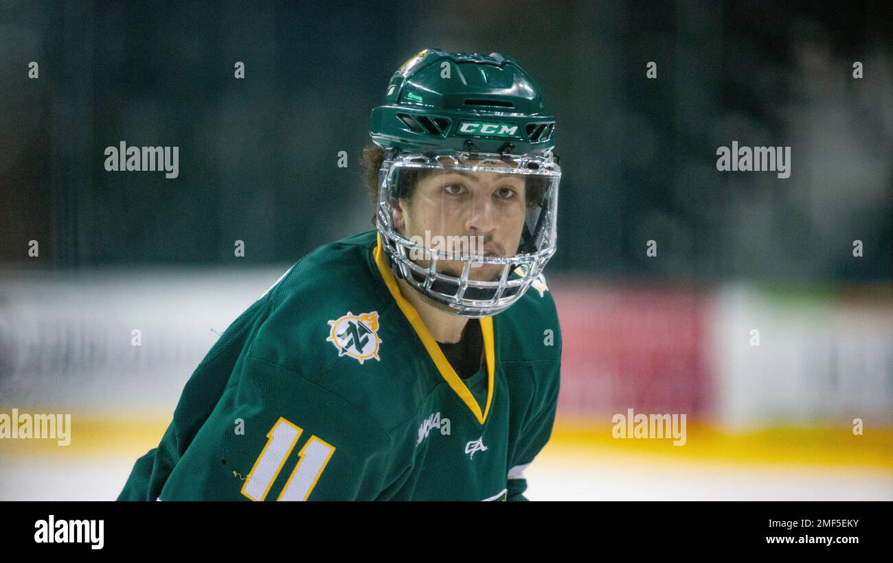 Northern Michigan forward Andre Ghantous (11) skates against Bemidji ...