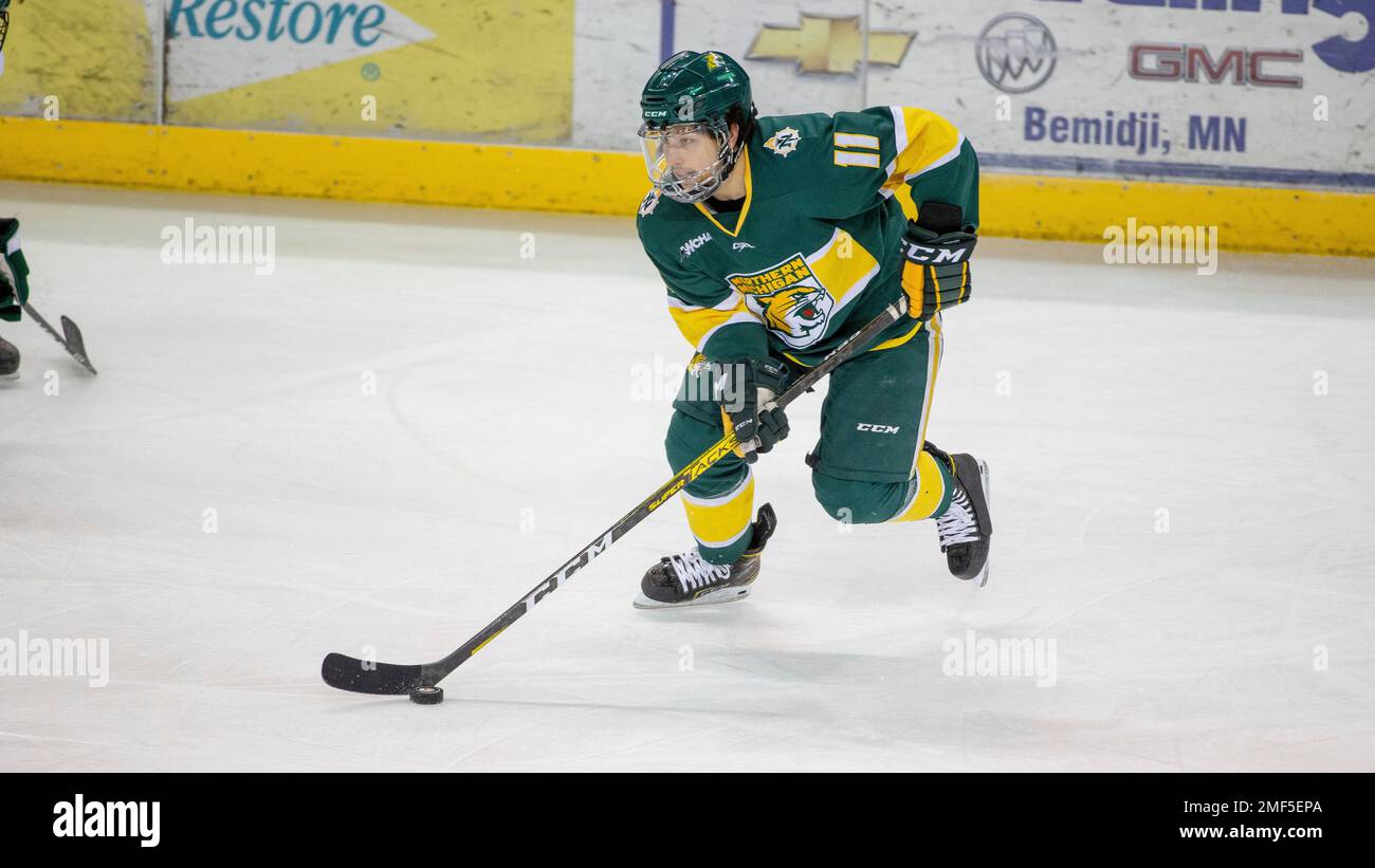 Northern Michigan forward Andre Ghantous (11) skates against Bemidji ...