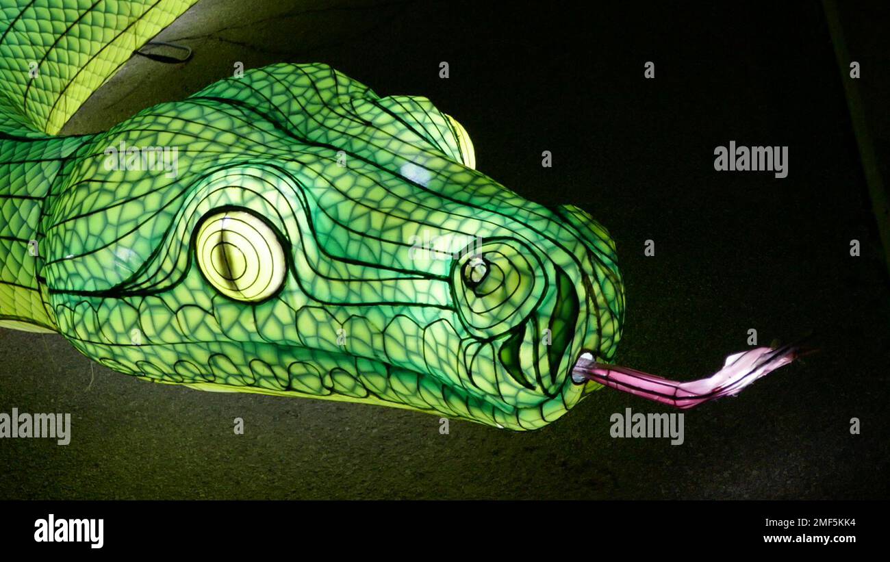 New years snake hi-res stock photography and images - Alamy