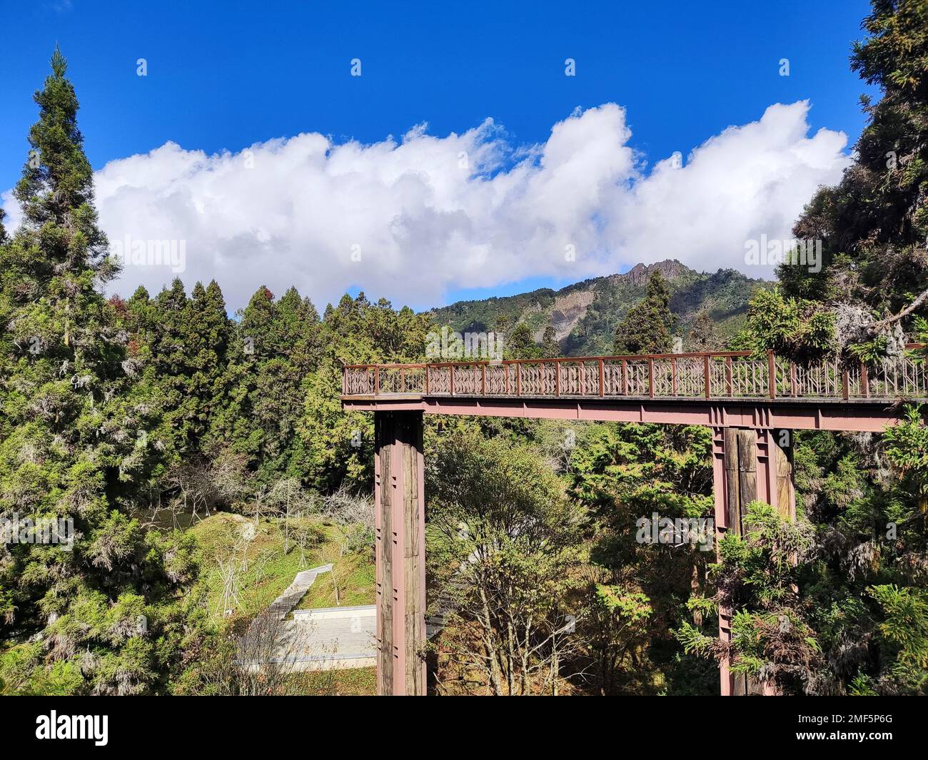 Beautiful morning with blue sky in Alishan National Park in Taiwan ...