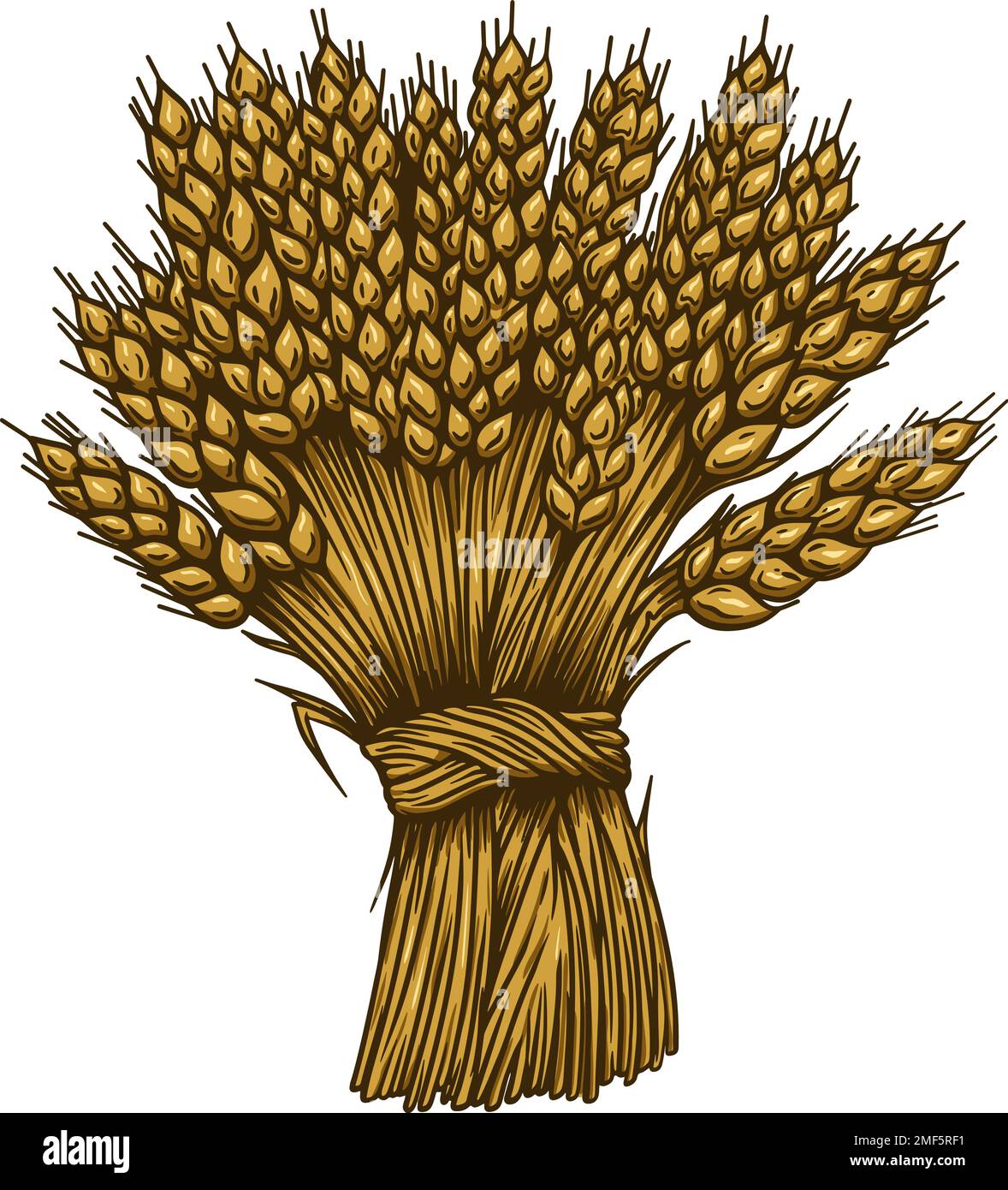 Wheat Bundle Clipart