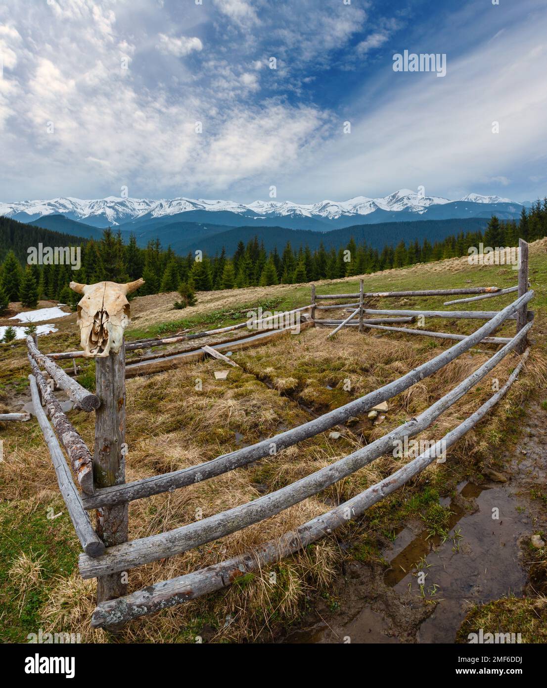 Spring Carpathian mountains landscape with snow-covered tops of ...