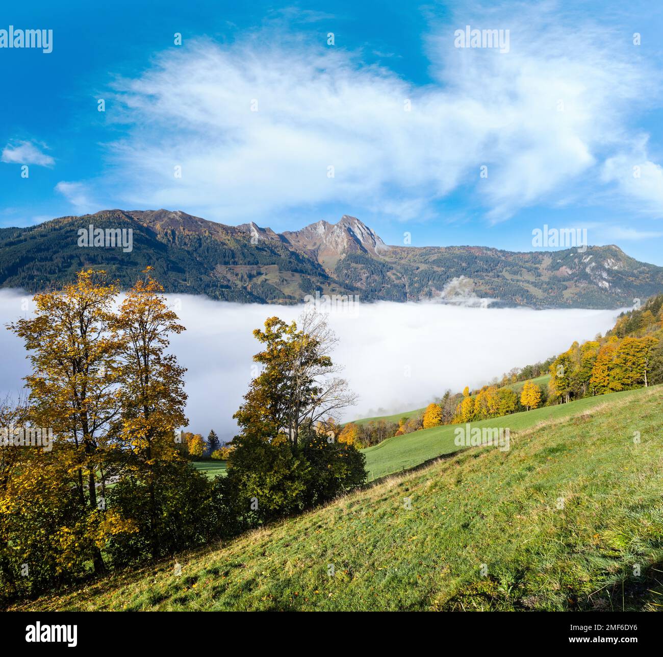 Sunny idyllic autumn alpine scene. Peaceful misty morning Alps mountain ...