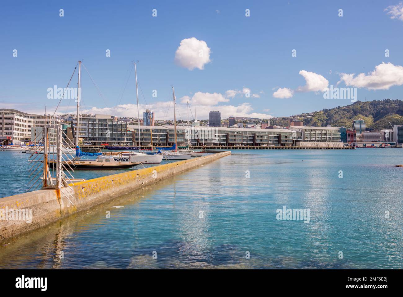 A view of Port Nicholson yacht club to Clyde Quay Apartments and city ...