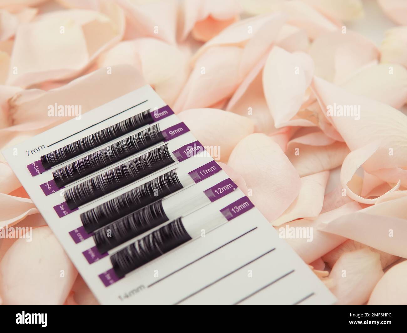 Close up master lash maker hi-res stock photography and images - Alamy