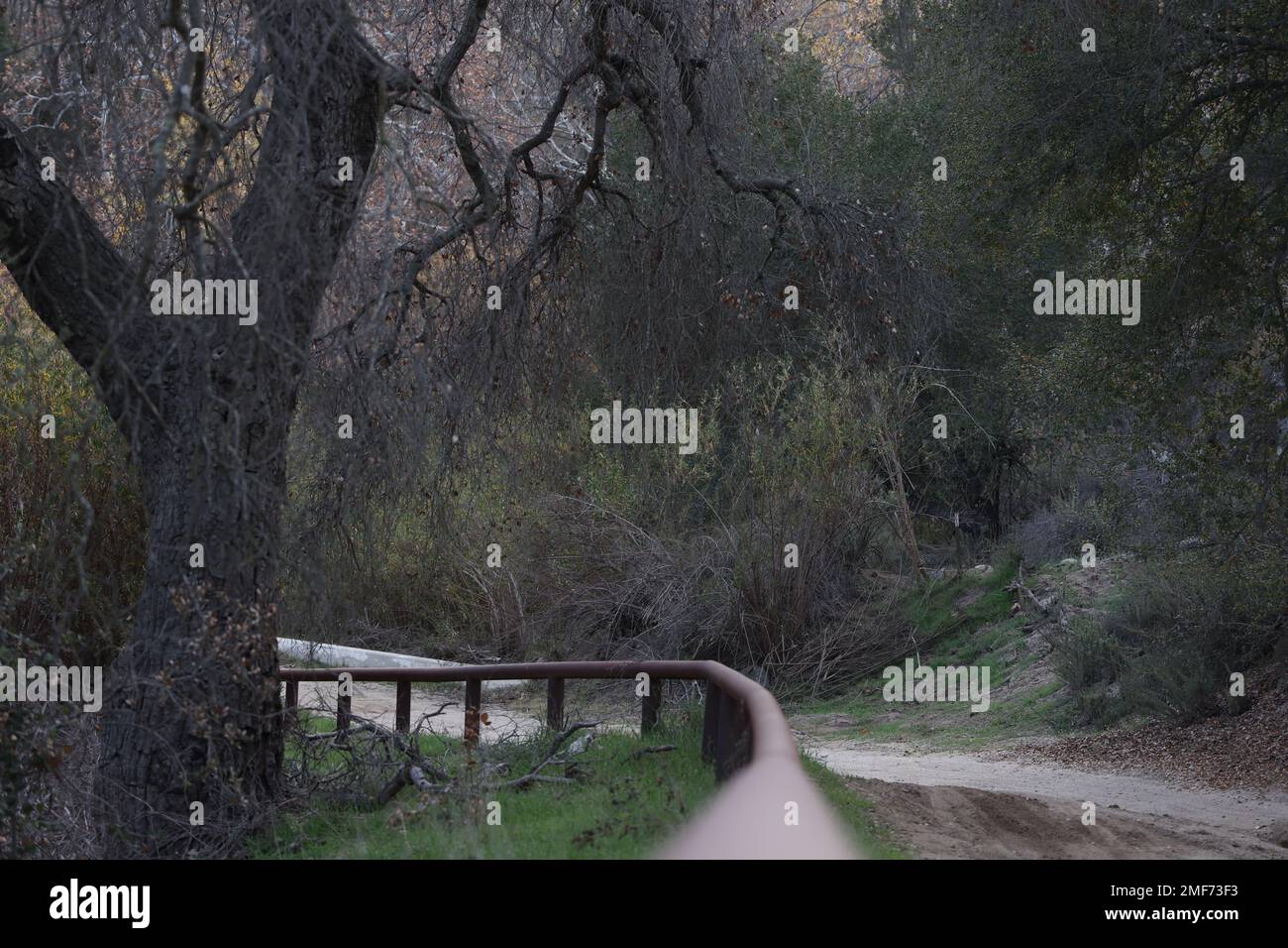 Rail leading to tree Stock Photo - Alamy