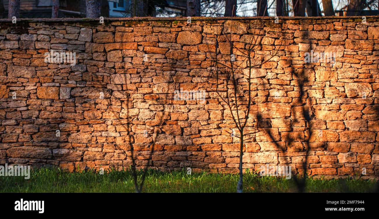 A wall made of natural stone, shell. Use of natural materials in ...