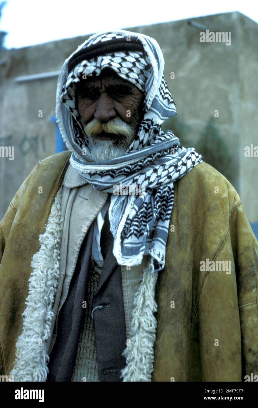 Old Bedouin man wears a sheepskin coat against the winter cold in ...