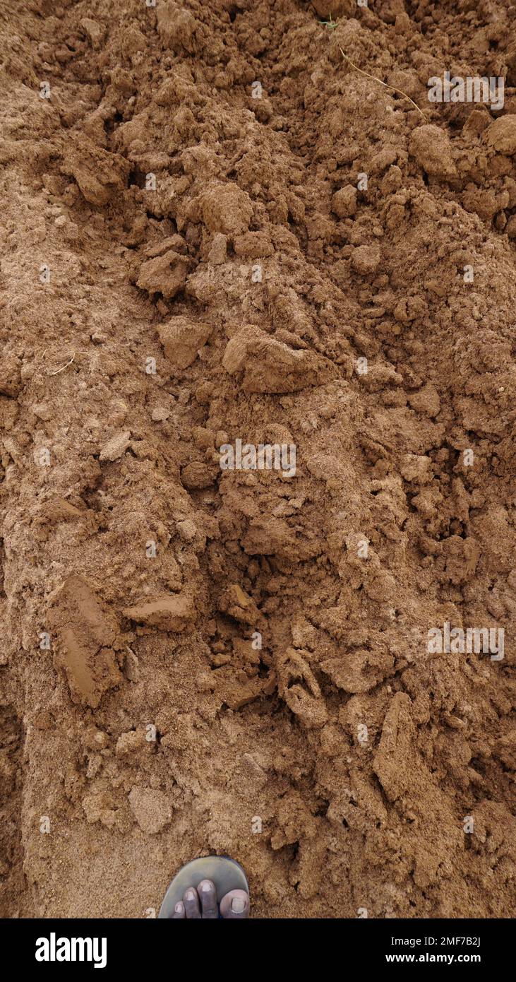 Dirt floor texture hi-res stock photography and images - Alamy