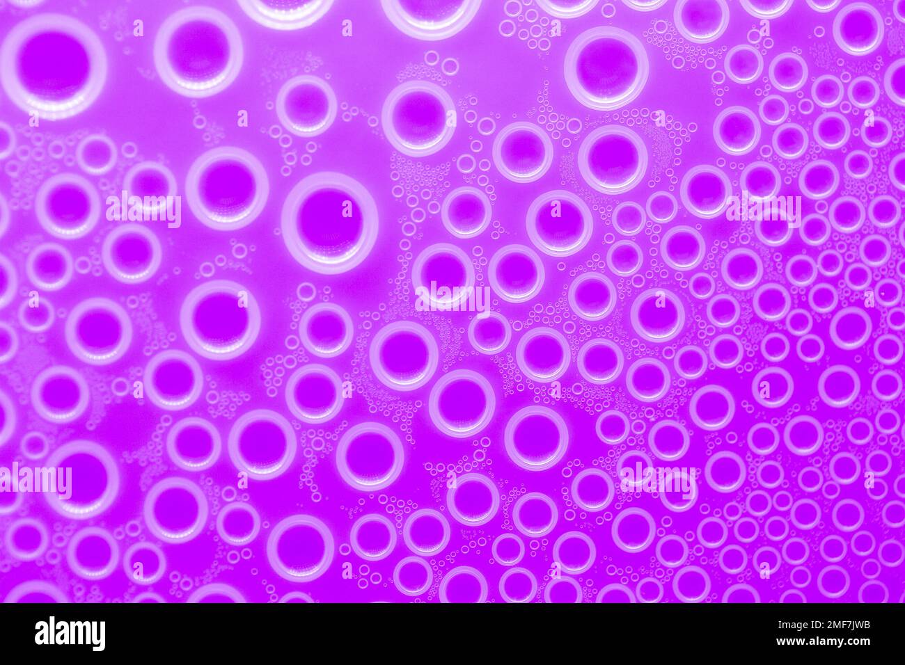 Purple pattern with white circles.Bubbles purple background. bubbles ...