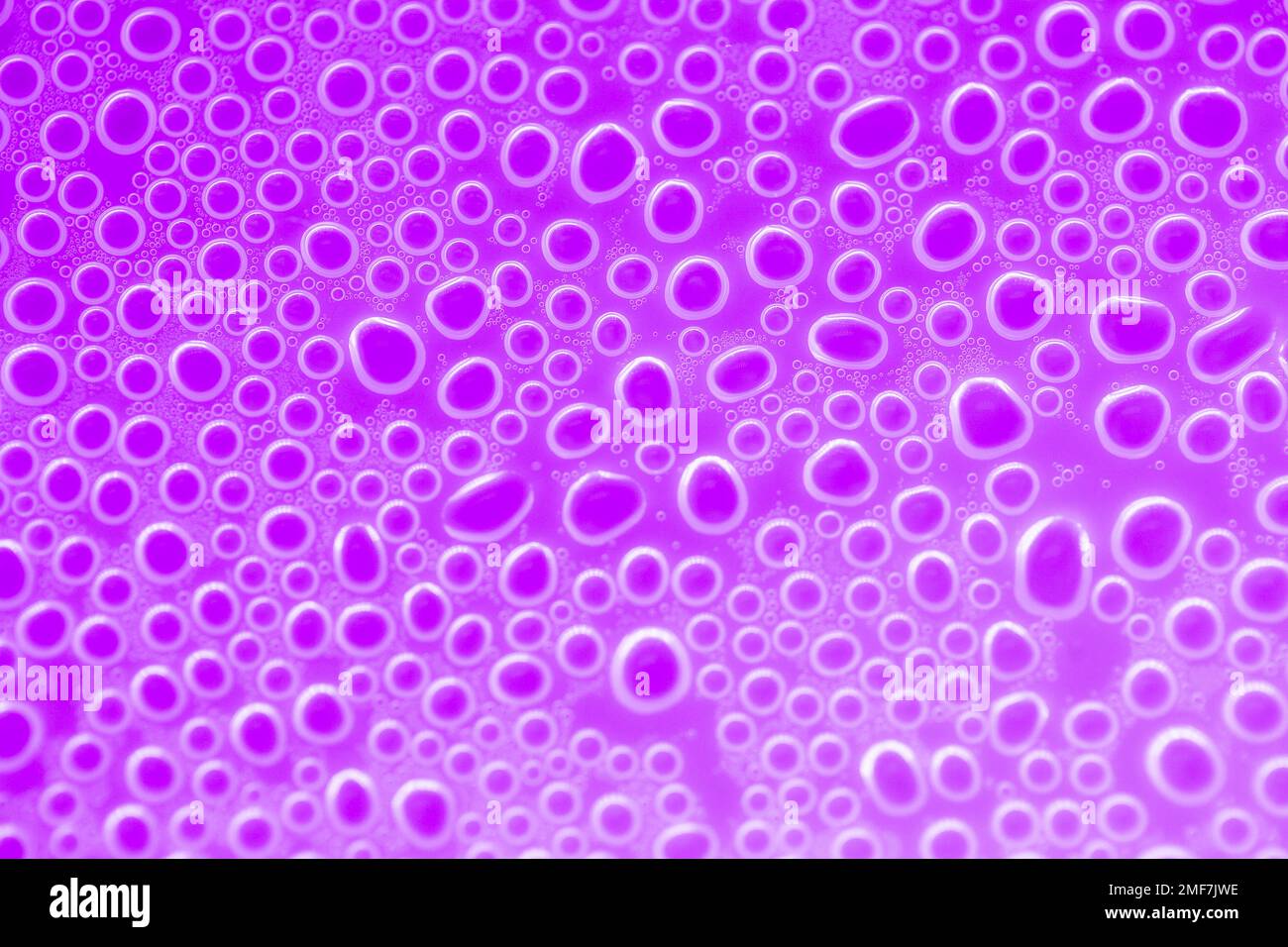 round bubbles texture in lilac tones.beautiful background with circles ...