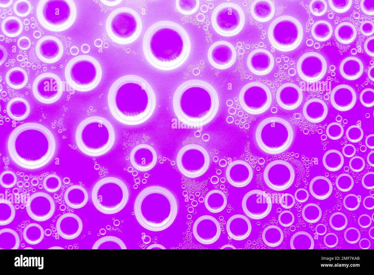 macro Bubbles set.Macro round bubbles texture in lilac tones ...