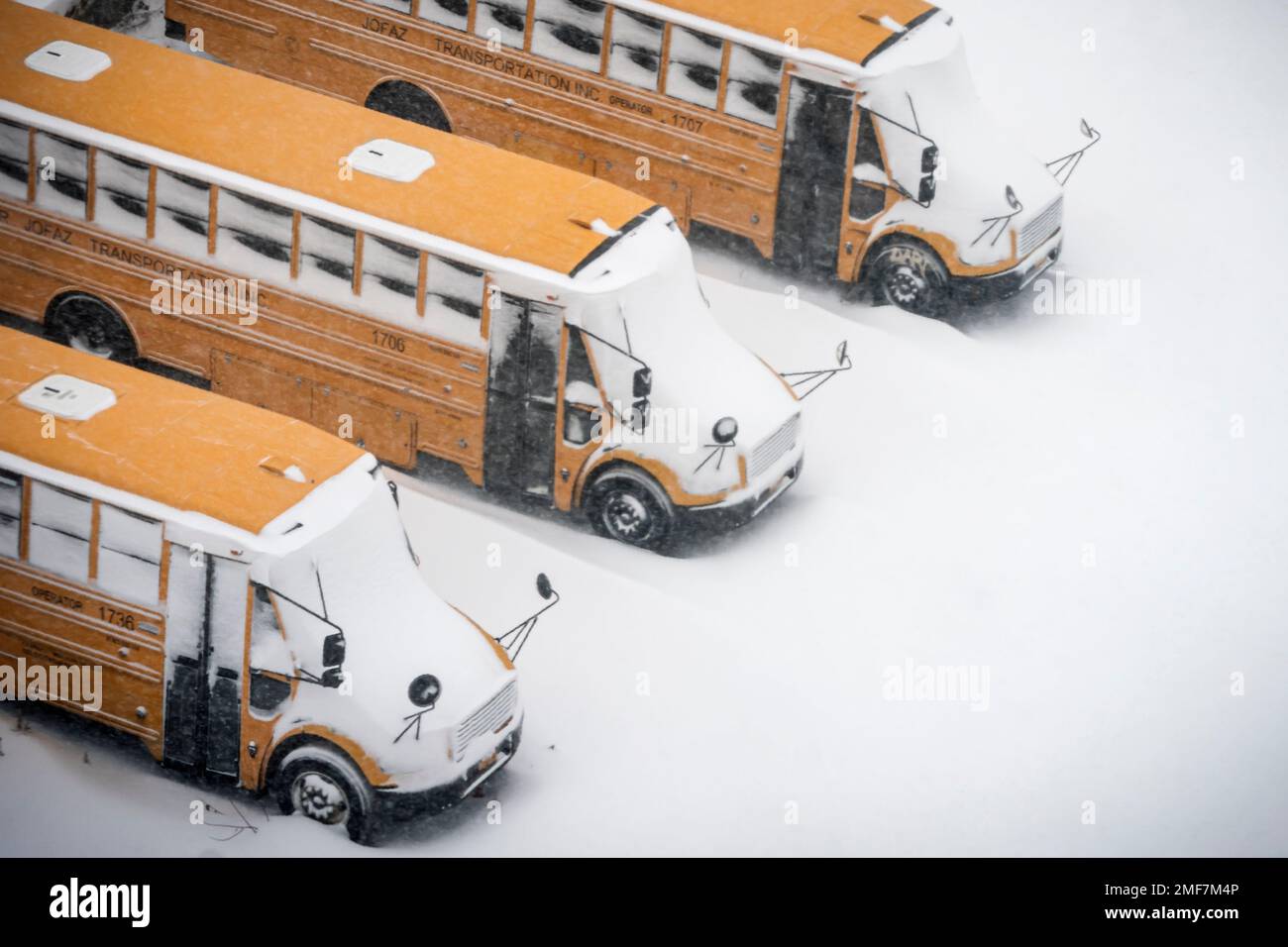 School buses are covered in snow during a snowstorm, Monday, Feb. 1 ...