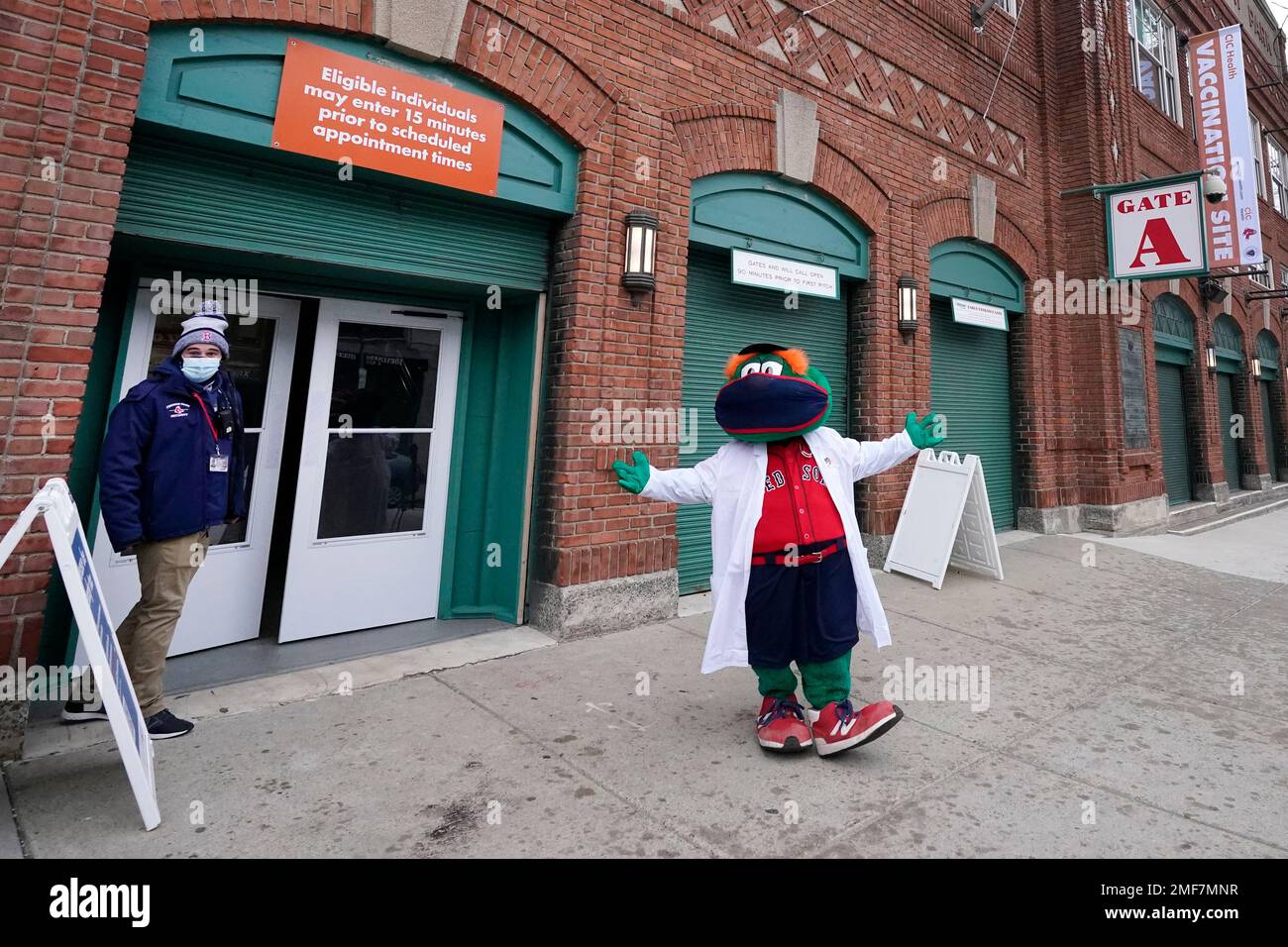 Boston Red Sox mascot, Wally the Green Monster, gestures while dressed ...