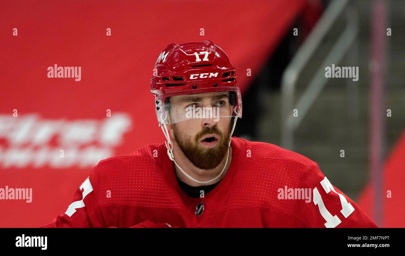 Detroit Red Wings defenseman Filip Hronek plays during the third period ...