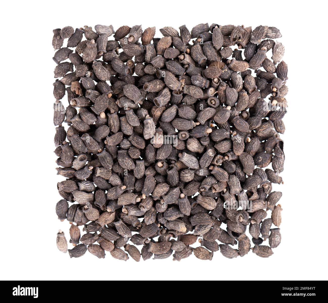 Borage seeds isolated on white background. Borago officinalis seeds ...